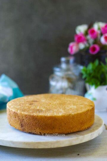 Beginners Friendly Eggless Rava Cake recipe - Spices N Flavors