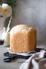 100% Best Whole Wheat Bread Machine recipe you need - Spices N Flavors