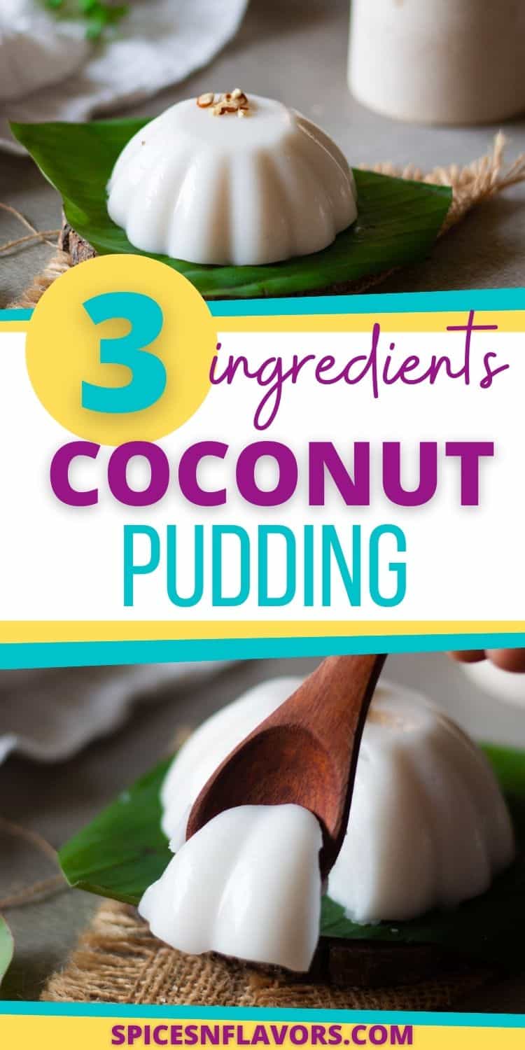 3 ingredient Coconut Pudding recipe - Easy and Simple - Spices N Flavors
