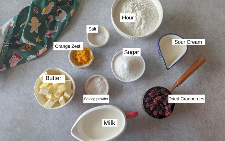 Easy Costco Cranberry Orange Bisconie Recipe - Spices N Flavors