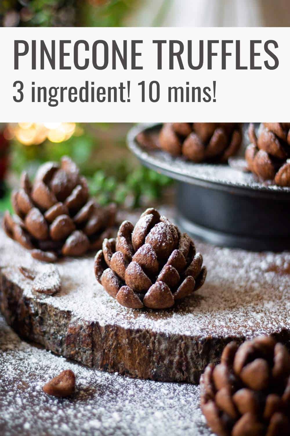 No-Bake Pinecone Truffles using only 3 ingredients - Spices N Flavors