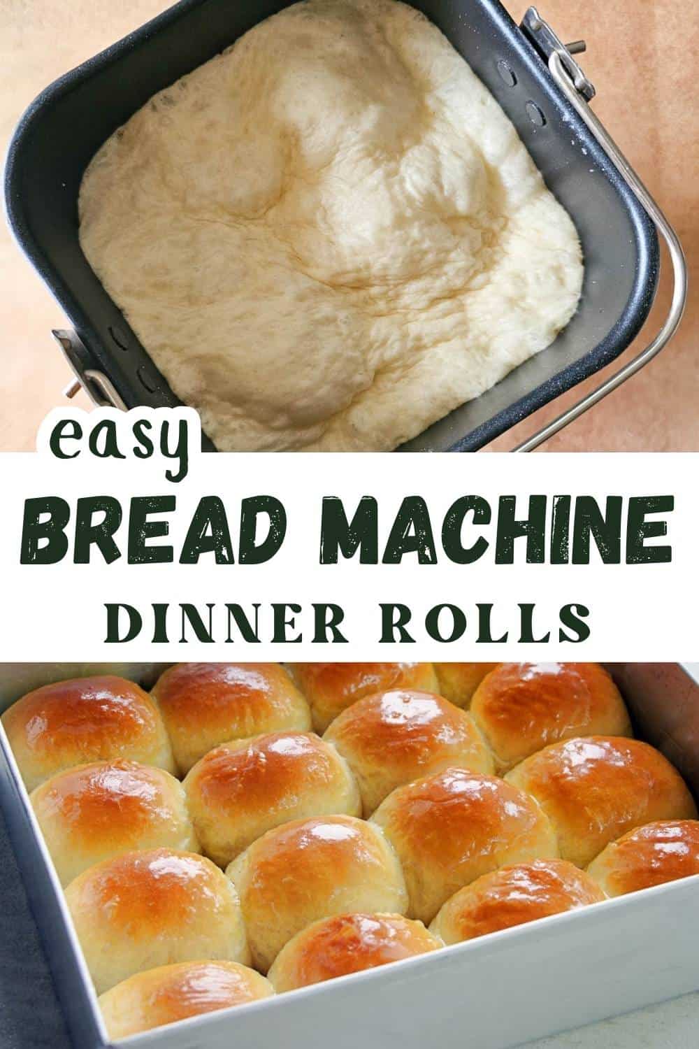 Best Homemade Bread Machine Dinner Rolls recipe - Spices N Flavors