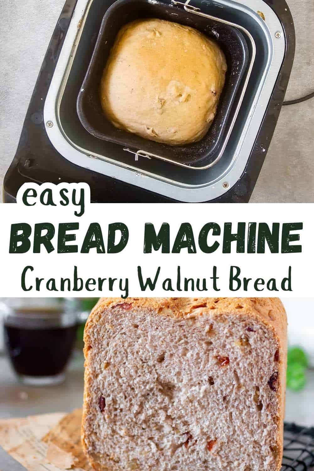 Easy Cranberry Walnut Bread Machine recipe to Try Now - Spices N Flavors